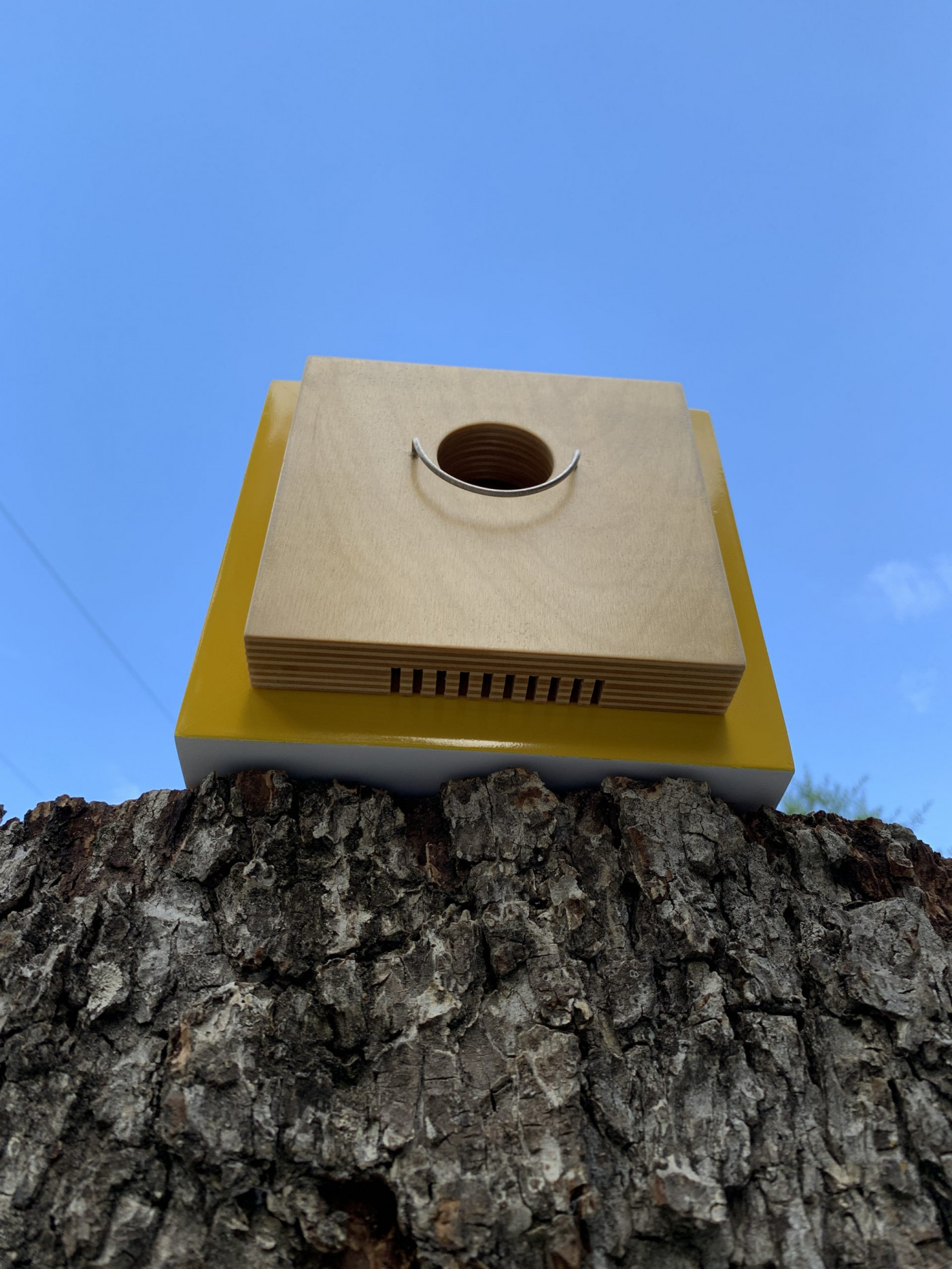 Bird house & bee house combo – THE OFFICIAL OFFICE OF