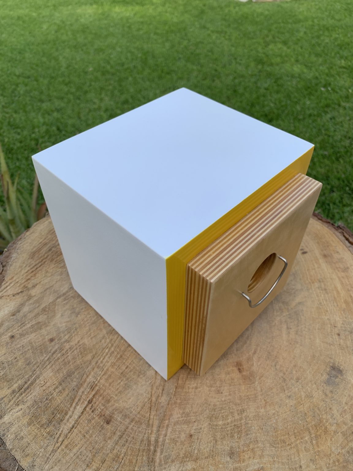 Bird house & bee house combo – THE OFFICIAL OFFICE OF