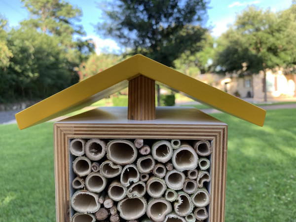 Bird house & bee house combo – THE OFFICIAL OFFICE OF