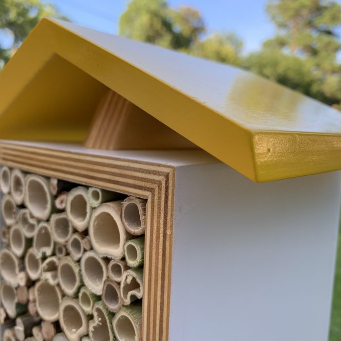 Bird house & bee house combo – THE OFFICIAL OFFICE OF